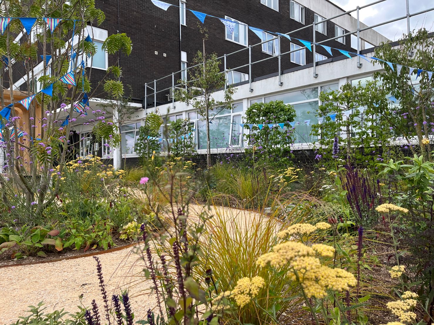 Arts & Creative Health - Frimley Health Charity