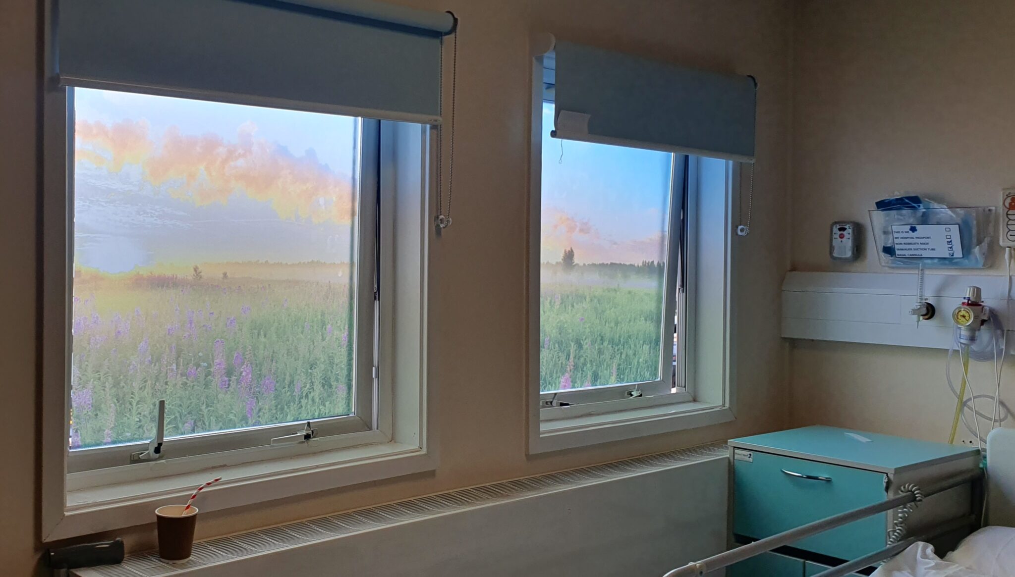 Ward 17 Artwork - Frimley Health Charity